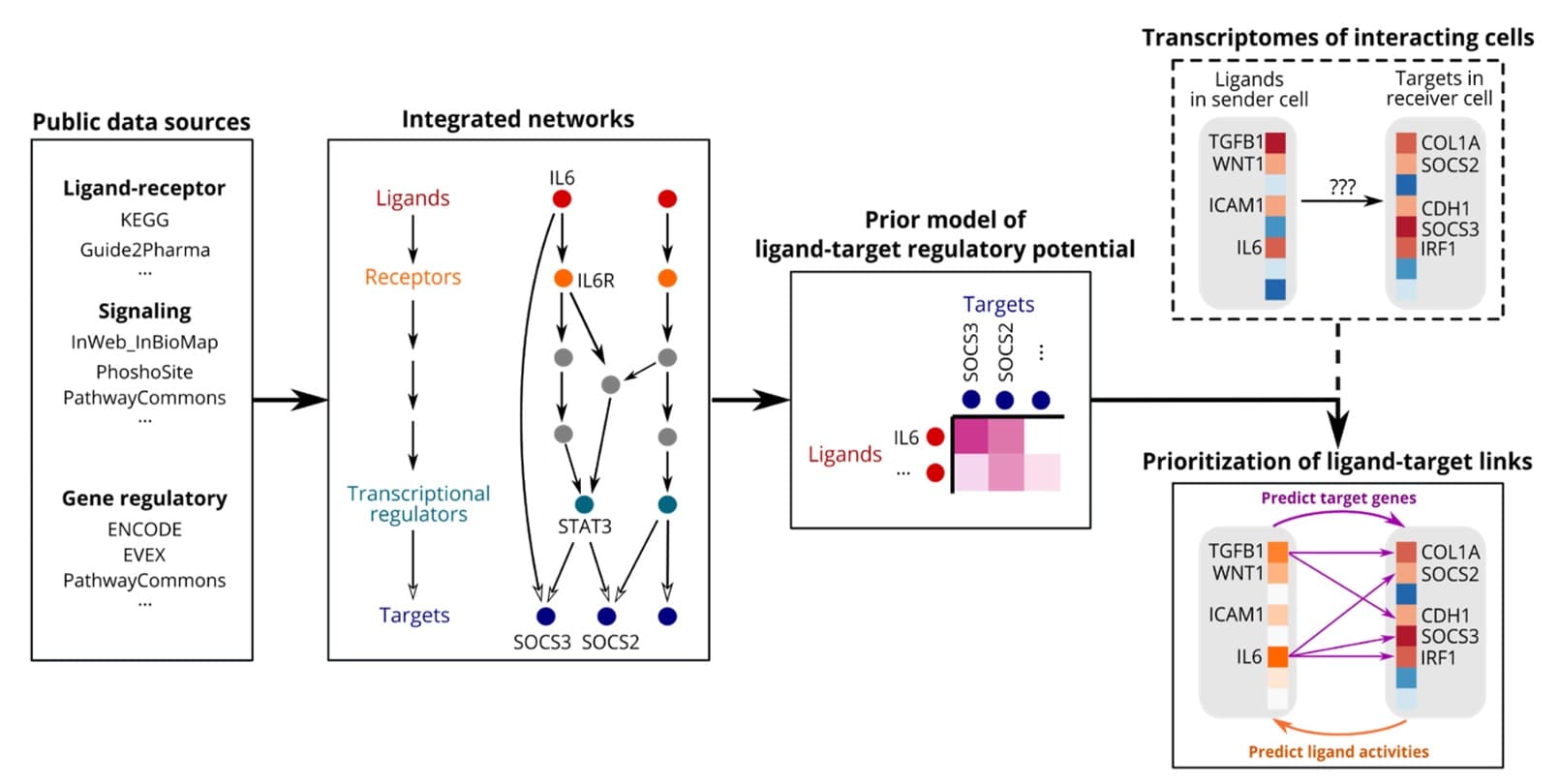 Visualisation of Single Cell Data and Segmentation of 3D Electron ...
